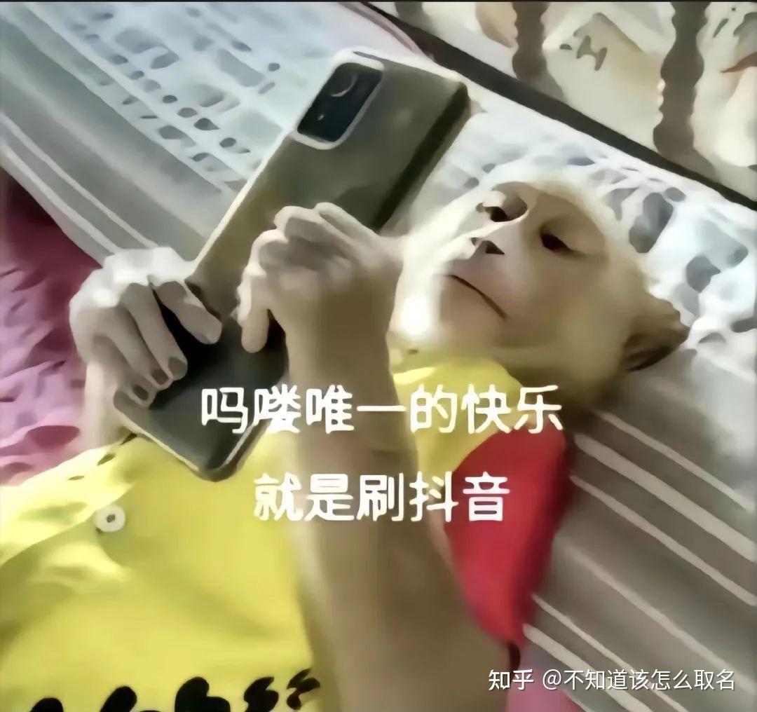 猴子表情包汇总 - 知乎