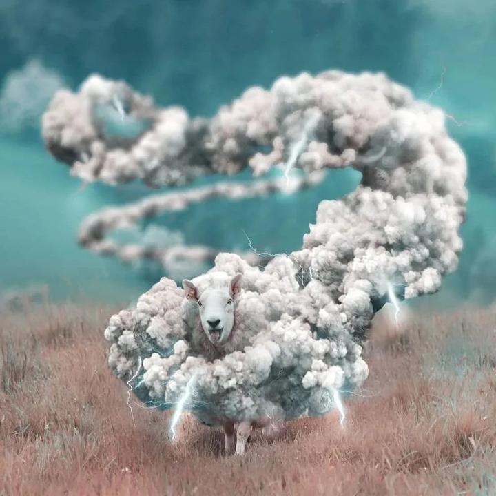 他的数字艺术,游走于现实与幻想的边界 ,一切皆可实现 知乎