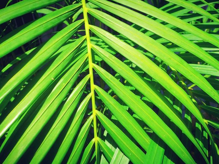 追剧CS224n|17-Multitask Learning - 知乎