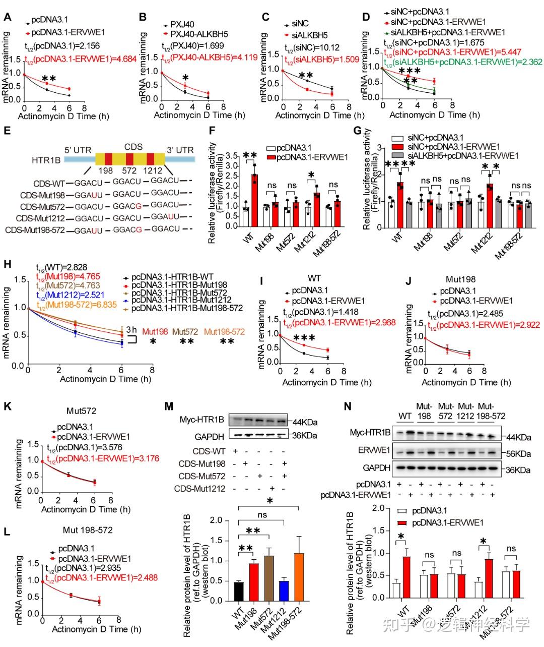 Cell Biosci︱武汉大学朱帆课题组揭示损伤5-HT神经元突触可塑性的表观遗传机制 - 知乎