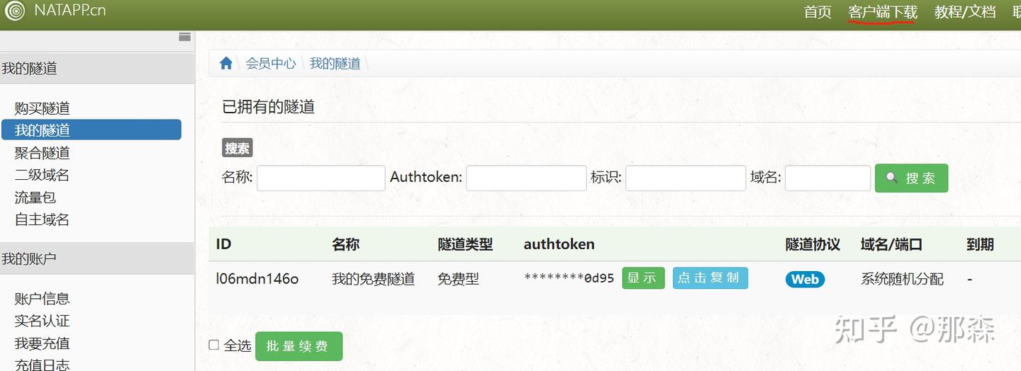 Windows下利用Nginx和Natapp内网穿透 - 知乎