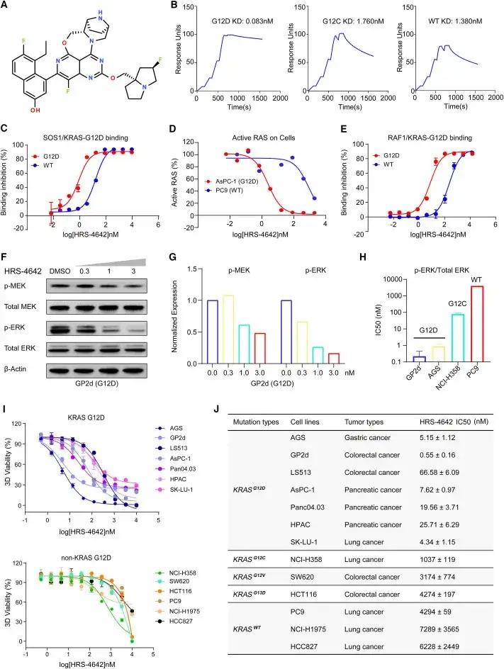 突破性进展：恒瑞制药KRAS G12D抑制剂HRS-4642引领靶向治疗新篇章！患者招募中！ - 知乎