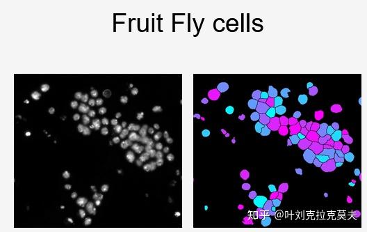 开源科学工程技术软件介绍59 – 细胞图像分析软件CellProfiler - 知乎