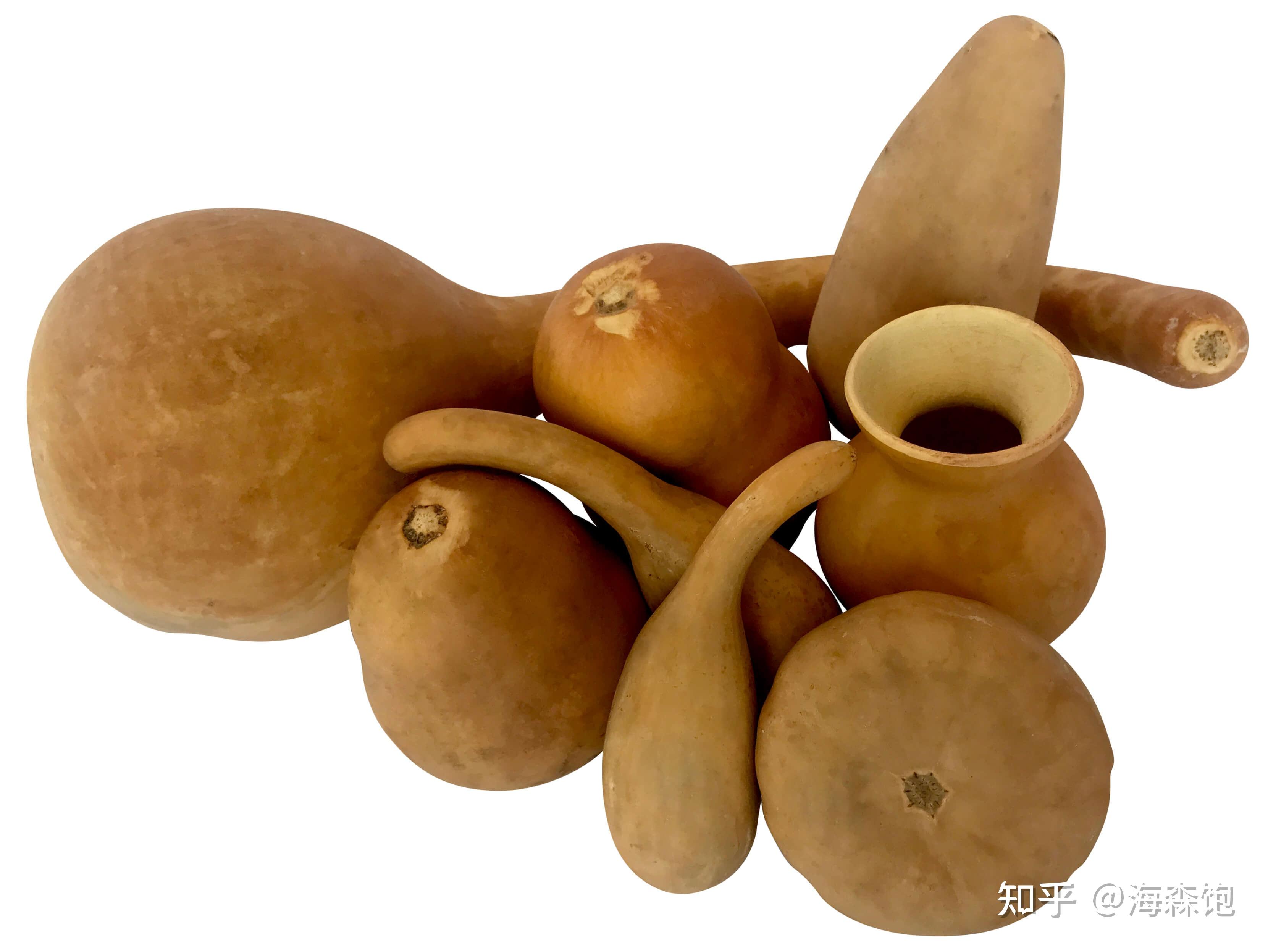 calabash - 知乎