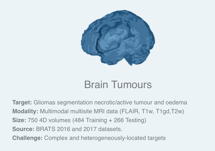 MSD Brain 数据集介绍 - 知乎