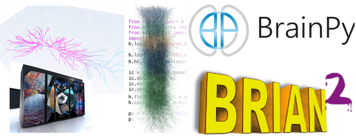 细说我用过的三款计算神经科学软件：Brian2、BrainPy和NEURON - 知乎