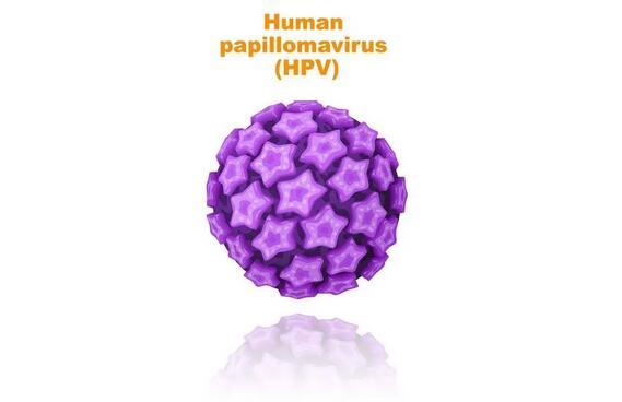 hpv6阳性有疣体能自愈吗 - 知乎