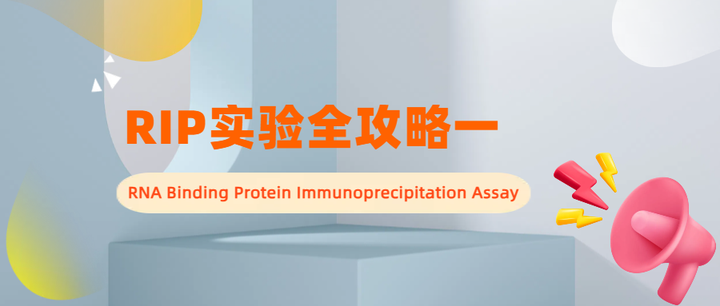 RIP实验全攻略一：解锁RNA与蛋白互作网络 - 知乎
