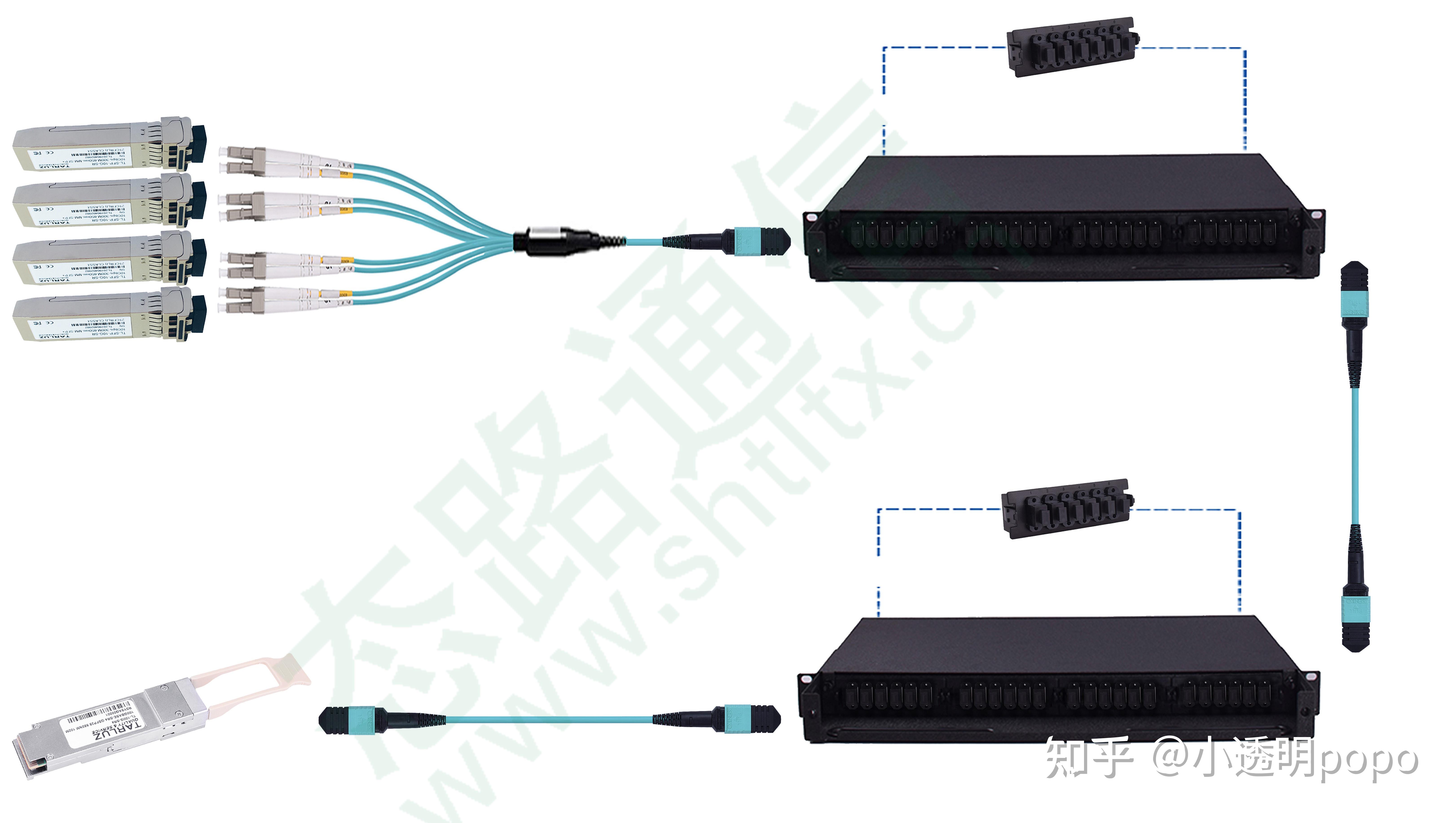 如何将 MPO 接口光模块与 LC 接口光模块进行连接？ - 知乎
