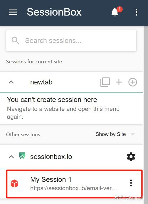 SessionBox浏览器多开插件使用与集成代理教程 - 知乎
