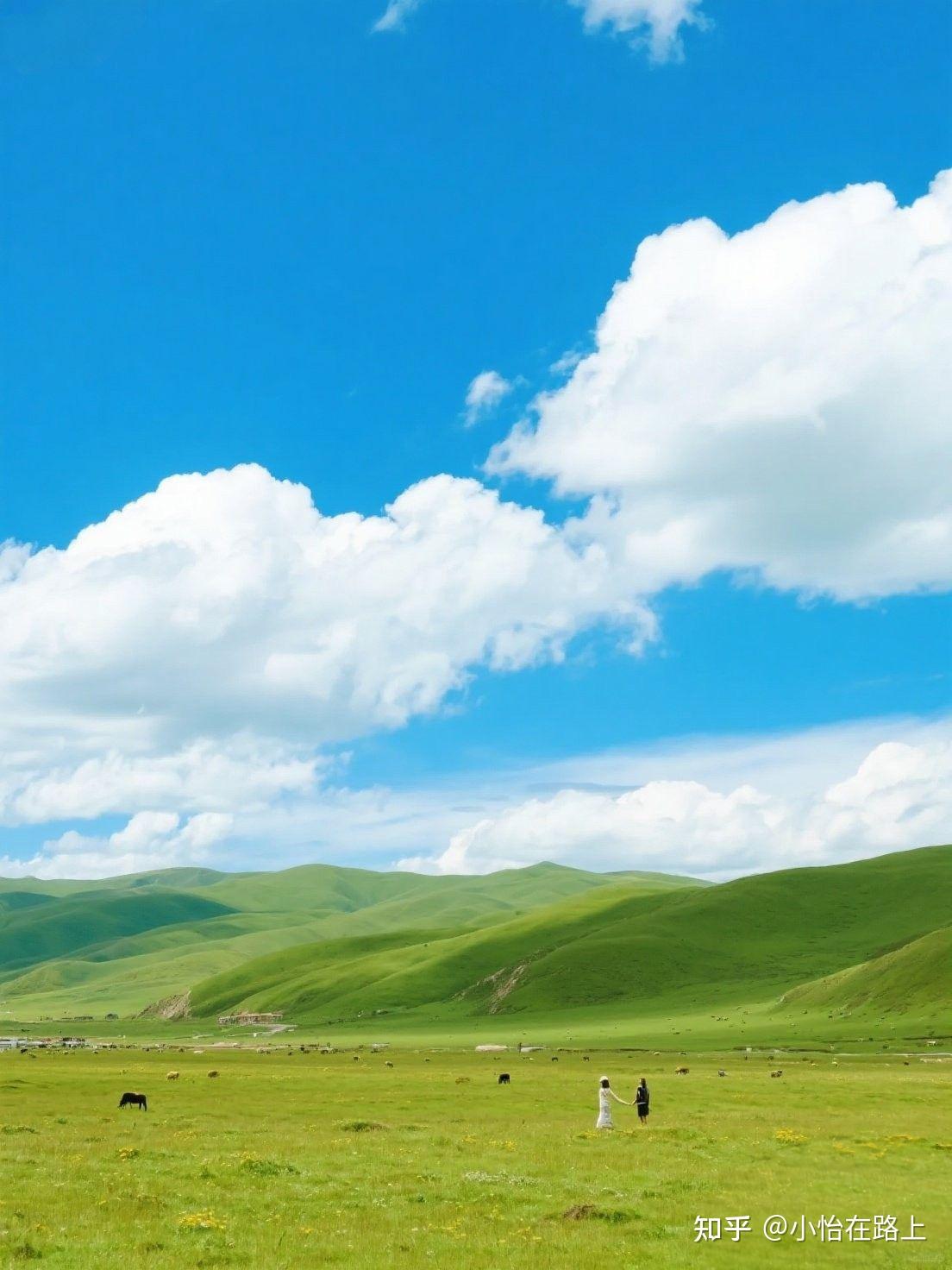 甘南自驾防坑指南｜90%人不知道的隐藏路线 - 知乎