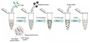 IP、CO-IP、Pull-down的区别与应用 - 知乎