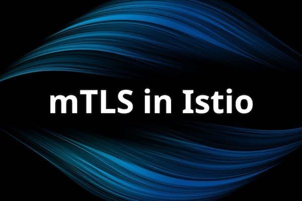 如何理解 Istio 中的 MTLS 流量加密？ - 知乎