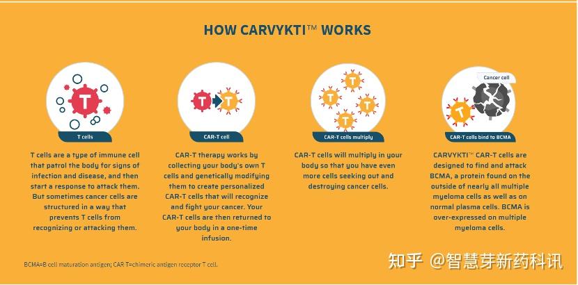 Carvykti3期临床试验结果远超预期 - 知乎