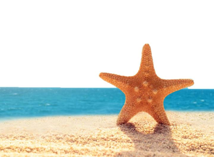 使用python解决leetcode算法题 知乎