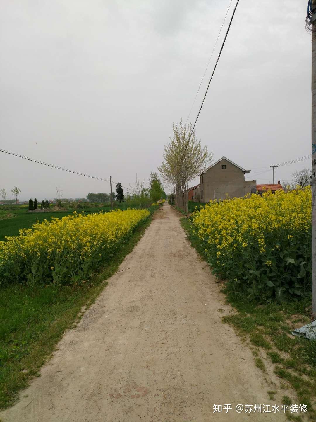 一个农村娃的装修人生1 - 知乎