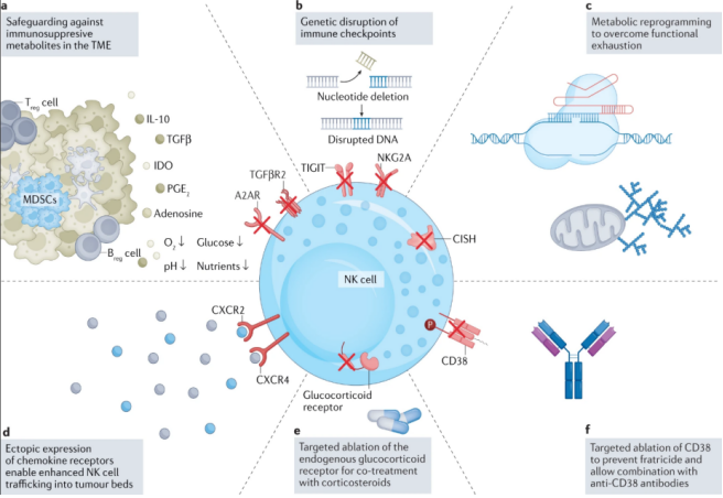 NK细胞在抗肿瘤过继性细胞免疫治疗中的应用 - 知乎
