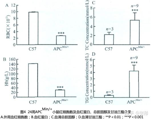 APC-Min小鼠｜肠道肿瘤小鼠模型（结直肠癌模型） - 知乎