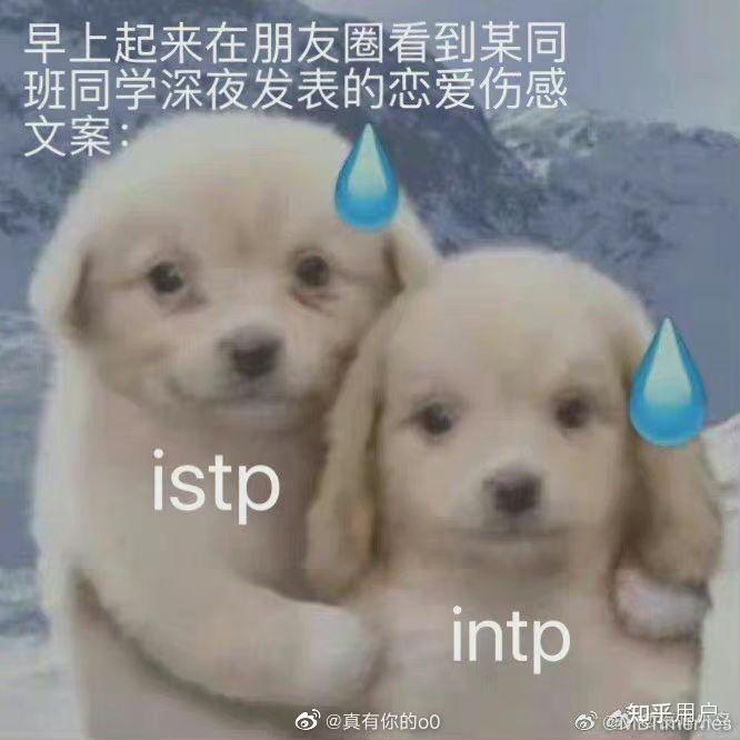 各位ISTP是怎样的性格？ - 知乎