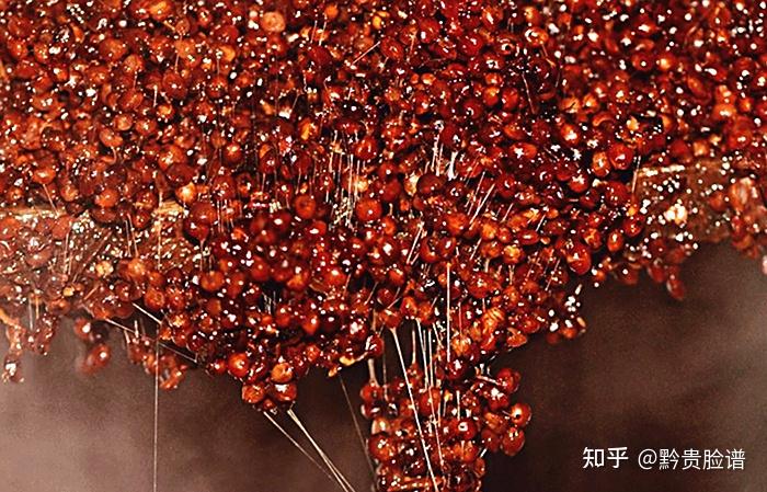 百元酱酒和千元酱酒究竟差在哪？—— 一篇说透酱香酒的四个工艺等级 - 知乎