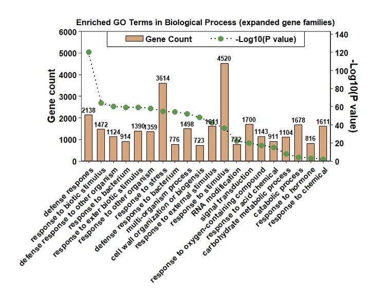 R语言 ggplot2绘制Cell文章的双y轴图以及多种实用绘图技巧 - 知乎
