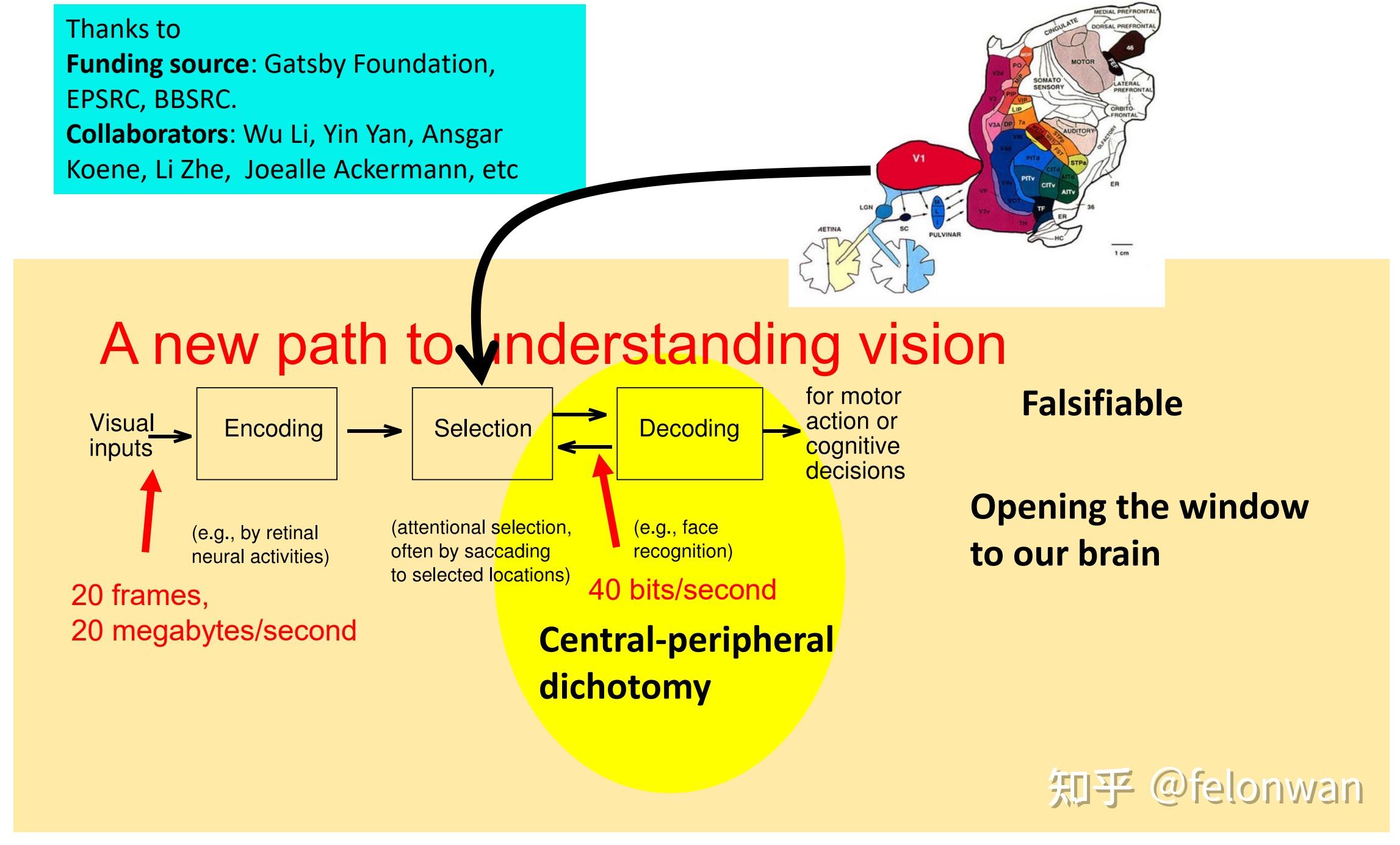 有哪些关于视觉假象（optical illusion）的实验和理论？ - 知乎