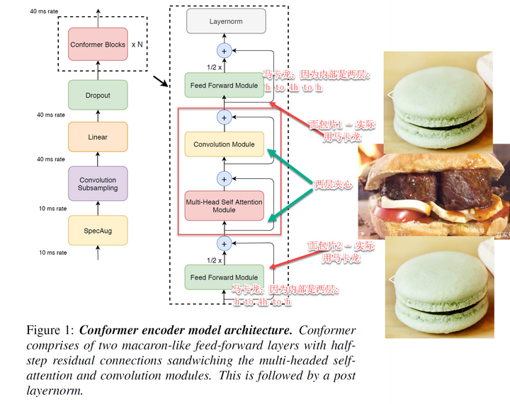 [细读经典]Conformer: 用卷积增强的transformer来做ASR - 知乎