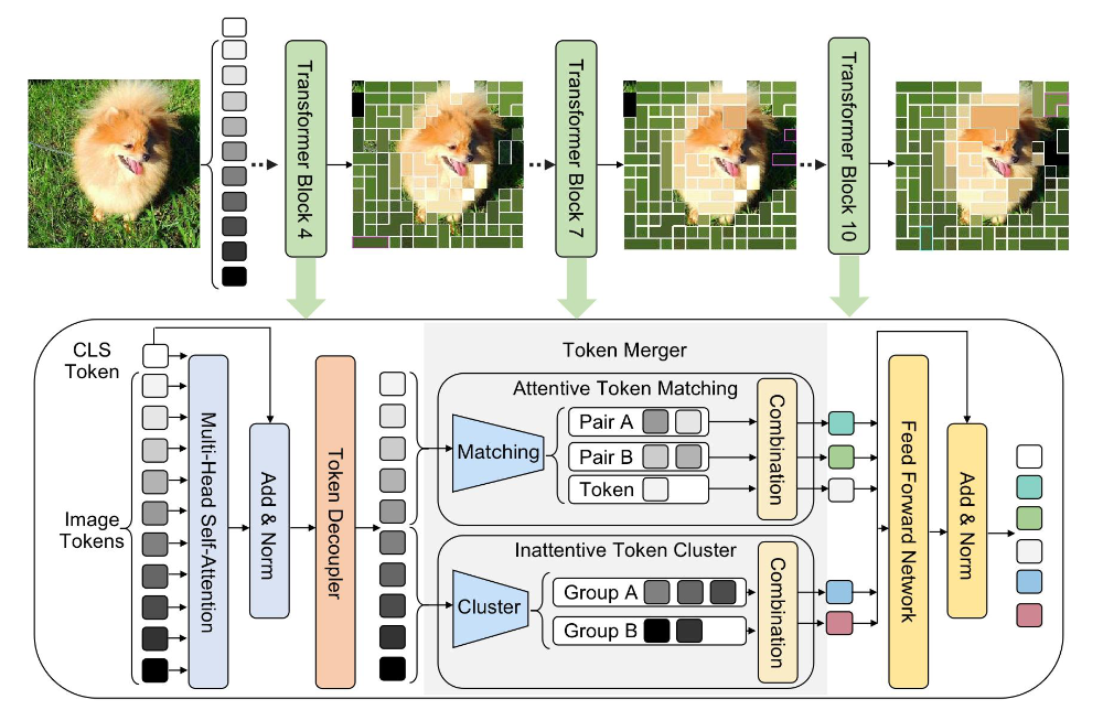 Token Reduction in ViTs——从 Token Pruning 到 Token Fusion - 知乎