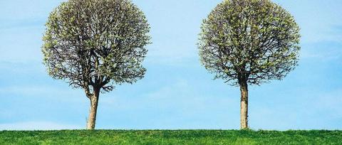 STATA： Hausman，BP&Wald检验的操作步骤以及判断方法？ - 知乎