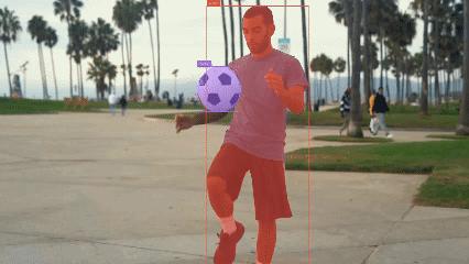 Segment Anything 2 (SAM2) in X-AnyLabeling: 构建快速精准的图像和视频标注对象分割工具 - 知乎