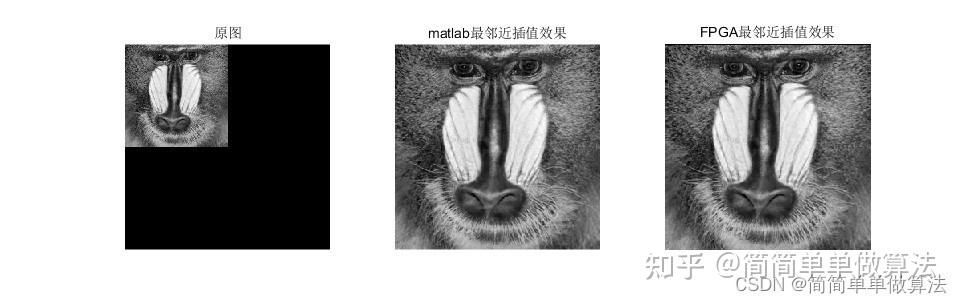 基于fpga的图像最近邻插值算法verilog实现包括tb测试文件和matlab辅助验证 知乎 2954