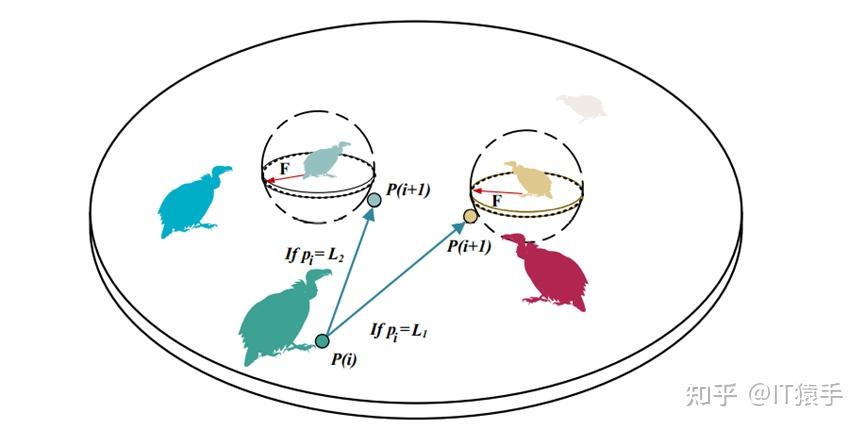 多目标优化算法：多目标非洲秃鹫优化算法（Multiple Objective African vultures optimization algorithm，MOAVOA）Matlab代码 - 知乎