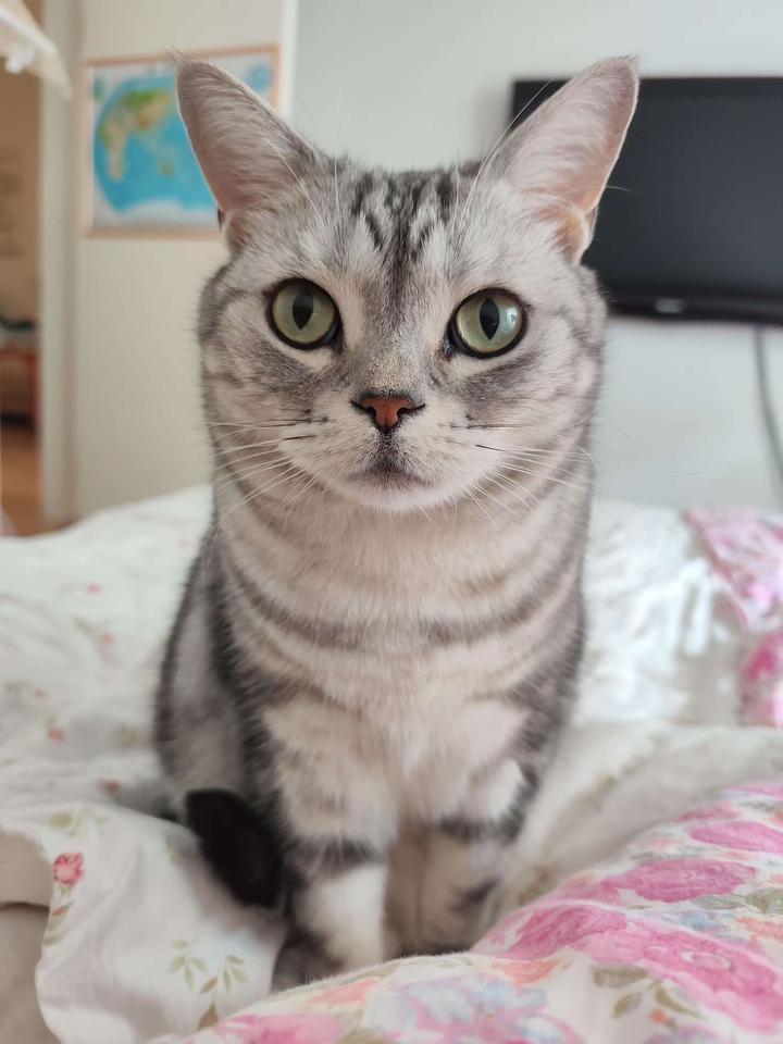 MMR：提升RAG检索结果的多样性与实用性 - 知乎