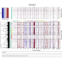copyKAT-推断单细胞转录组肿瘤细胞CNV - 知乎