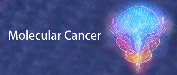 Mol. Cancer|浙大一院揭示H3K18乳酸化介导的膀胱癌进展调控机制 - 知乎