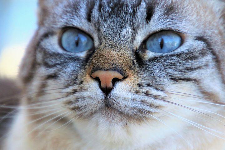 一次扫盲VO、DTO、DO和PO区别、用法、概念~ - 知乎