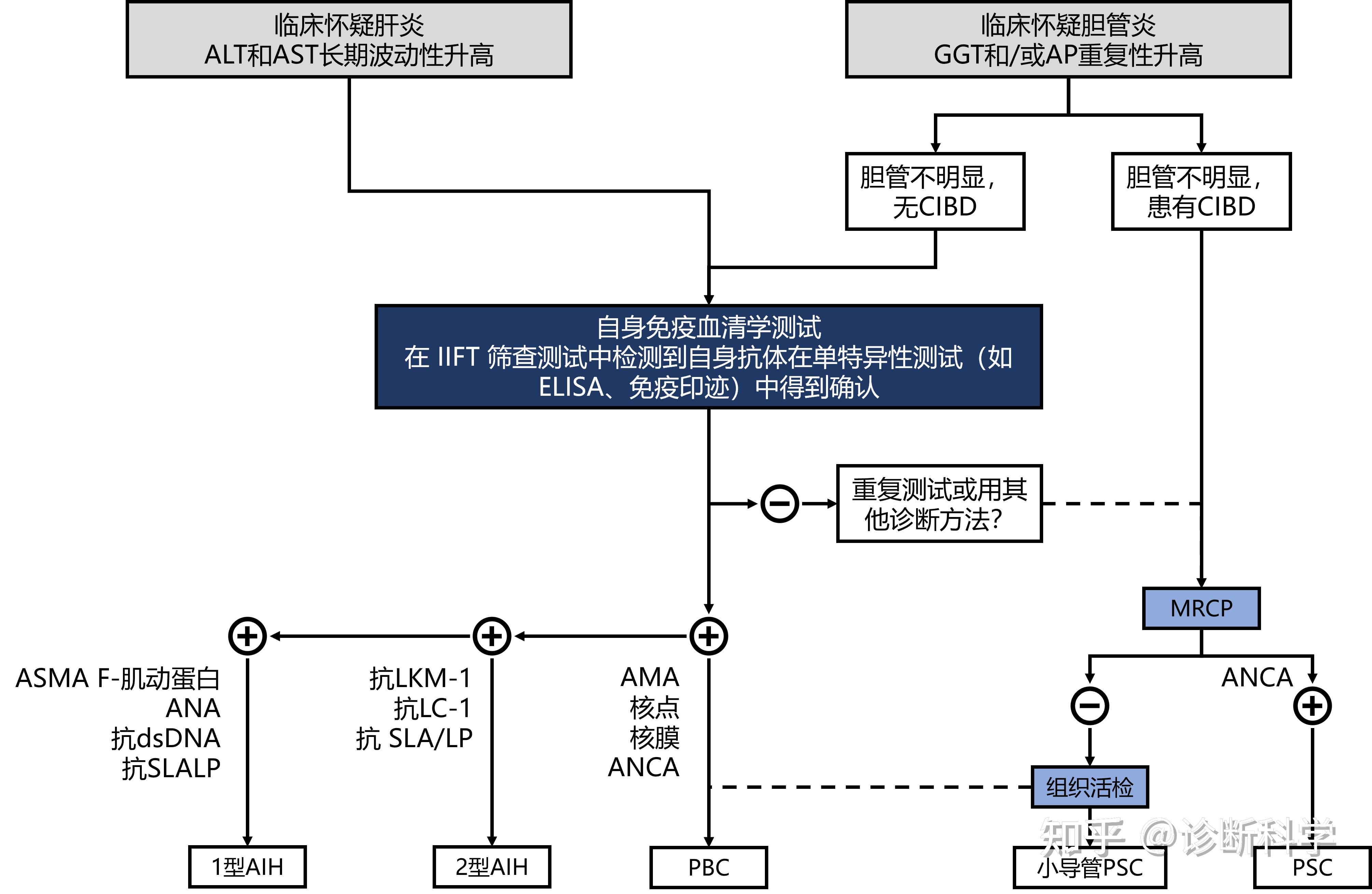 刘博谈 | 一文读懂自身抗体和自身免疫性肝病 - 知乎
