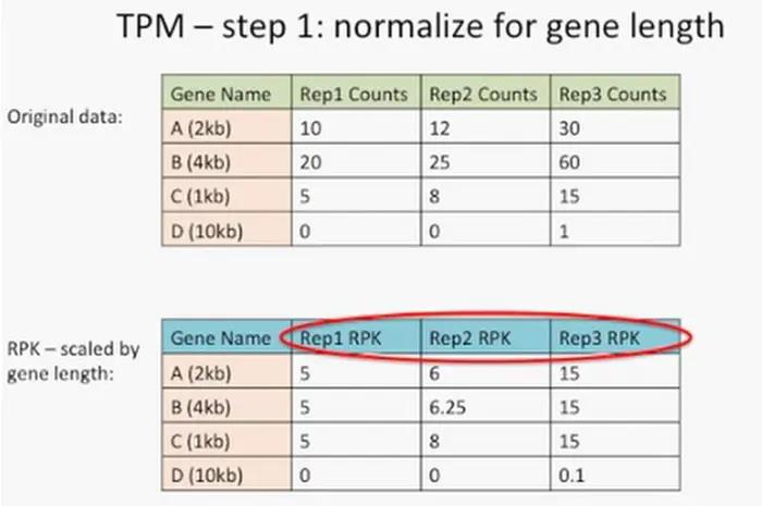 RPKM、FPKM 和 TPM，解释清楚 - 知乎