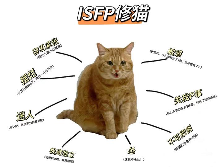 ISFP型人格的女孩 - 知乎