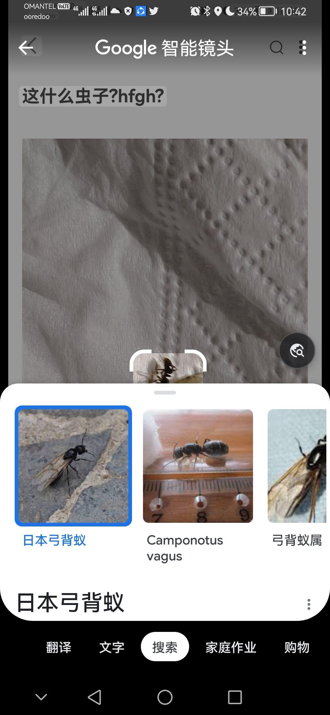 这什么虫子?hfgh? - 知乎