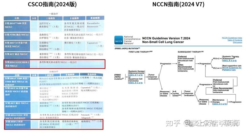 非小细胞肺癌（NSCLC）9大驱动基因：CSCO vs NCCN 治疗指南策略对比分析！附上市及医保报销条件 - 知乎