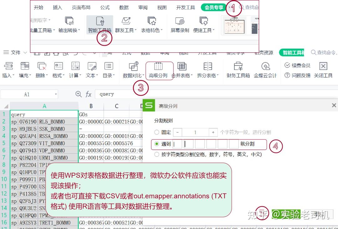 做完蛋白质谱后的KEGG、GO分析 - 知乎