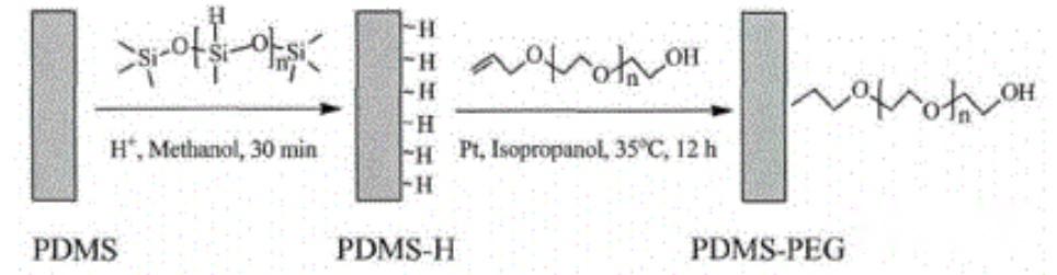 工艺｜微流控芯片材料PDMS表面改性 - 知乎