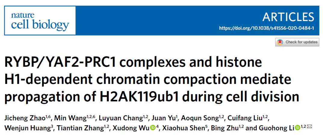 NCB | 非经典PRC1复合物和组蛋白H1介导染色质压缩促进H2AK119ub蔓延和继承的分子机制 - 知乎