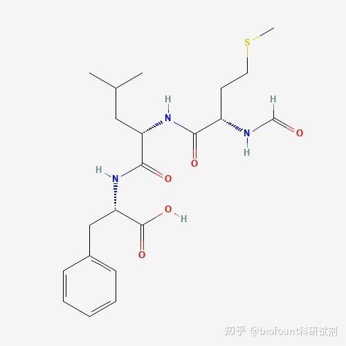 fMLF；内源性趋化肽 - 知乎