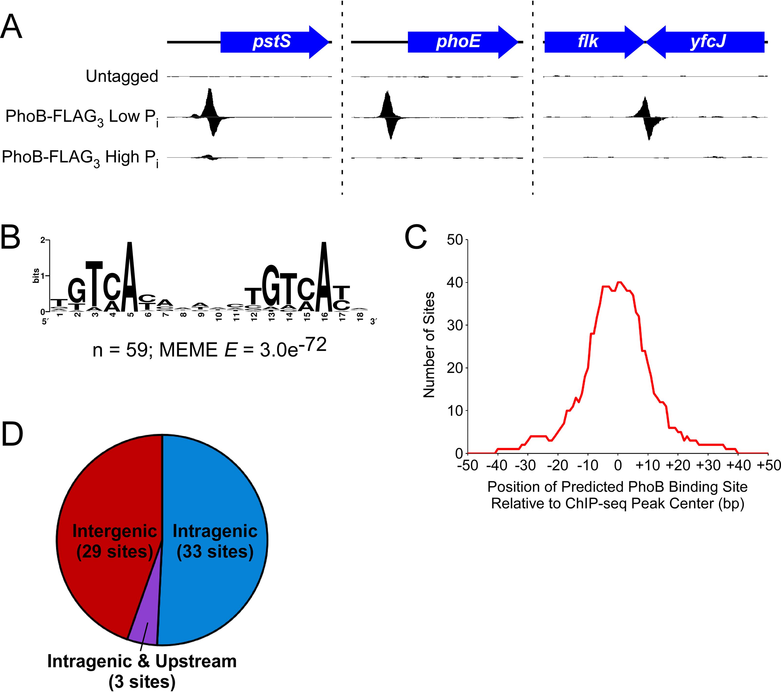 蛋白质DNA互作研究，选ChIP还是CUT&Tag? - 知乎