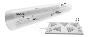 CVD-WS2单层连续薄膜 ，WS2 single layer continuous thin film的生长方法与特点 - 知乎