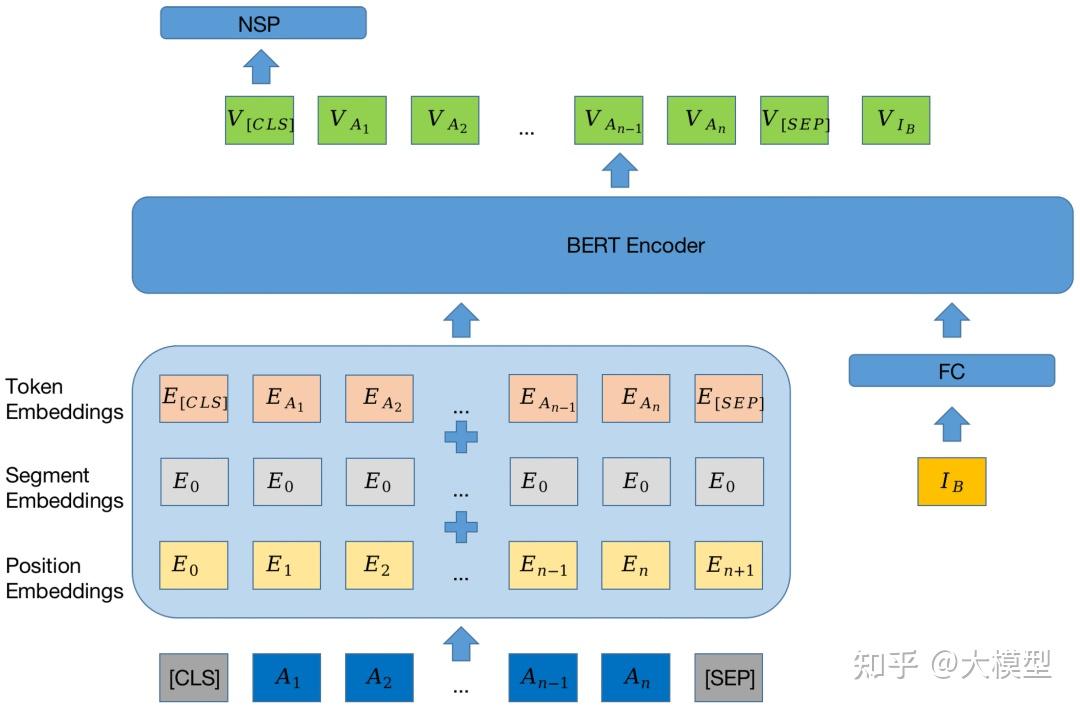 大模型入门指南 - 预训练（Pre-training）：小白也能看懂的“MLM+NSP”全解析 - 知乎