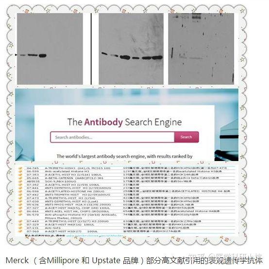 能讲解一下ChIP qPCR实验的详细步骤吗? - 知乎