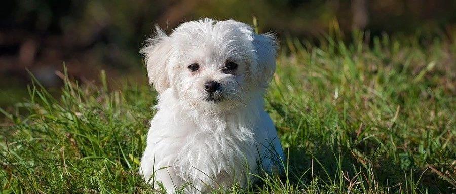 程序员的福音 - Apache Commons Lang - 知乎